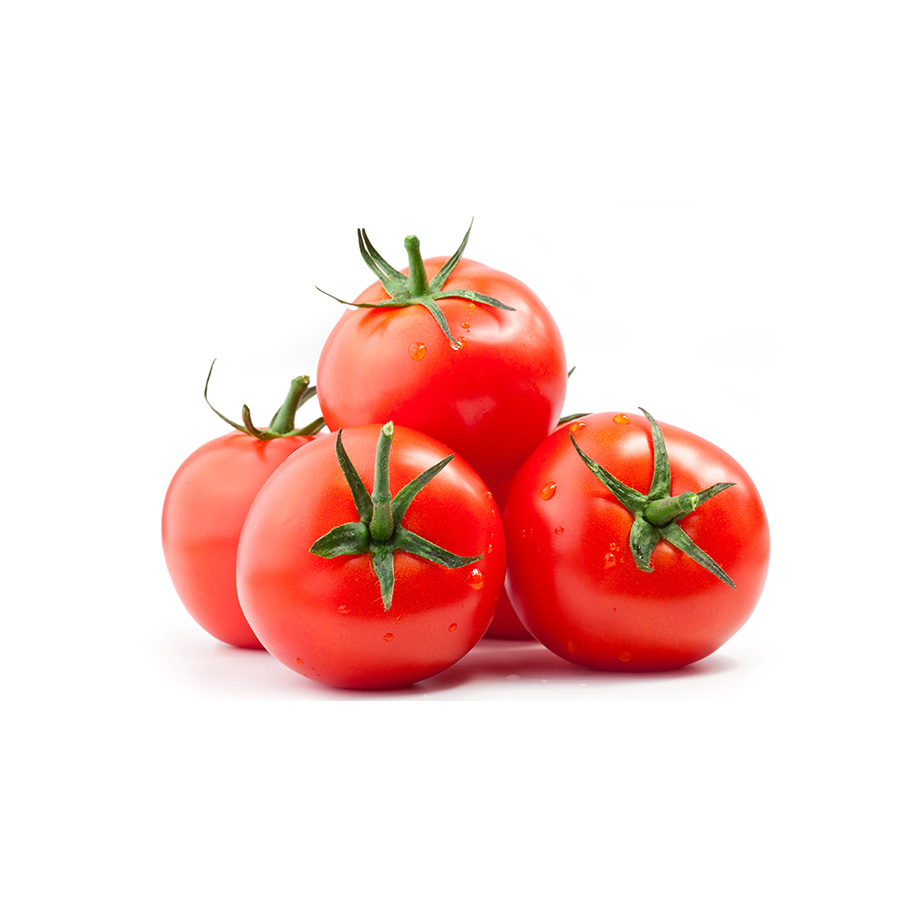 Onze producten | Tomato Masters